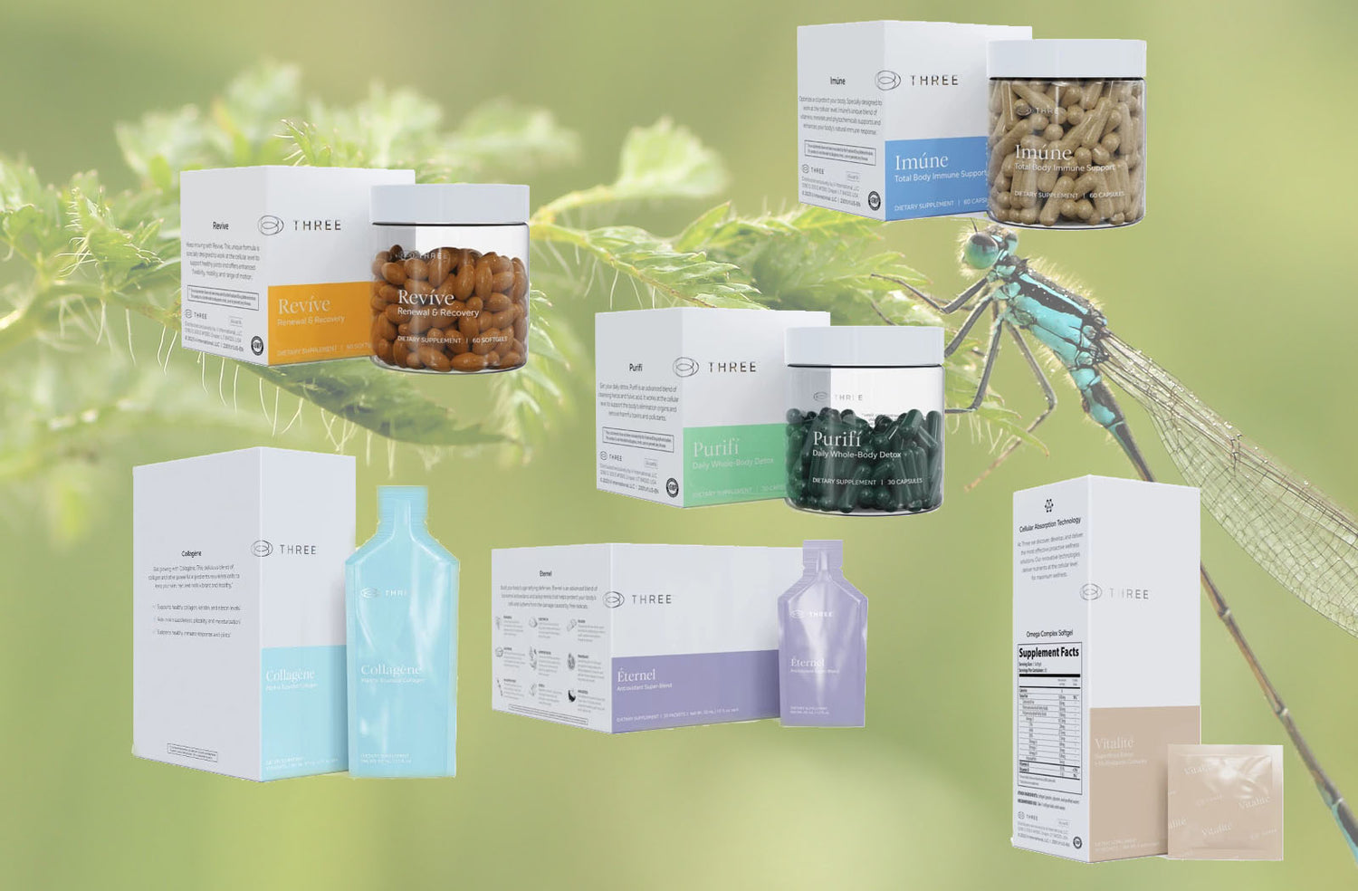 Three International Vital Nutrients and Cellular Absorption – SAMBWELL.COM