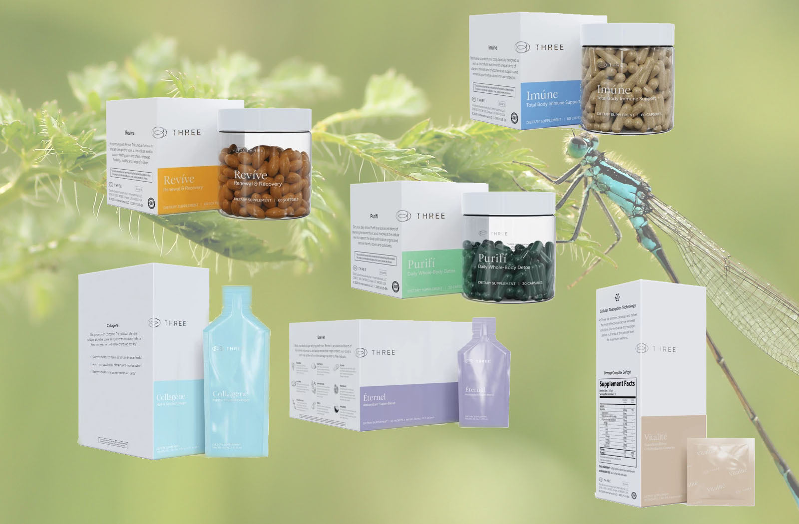 Three International Vital Nutrients and Cellular Absorption – SAMBWELL.COM
